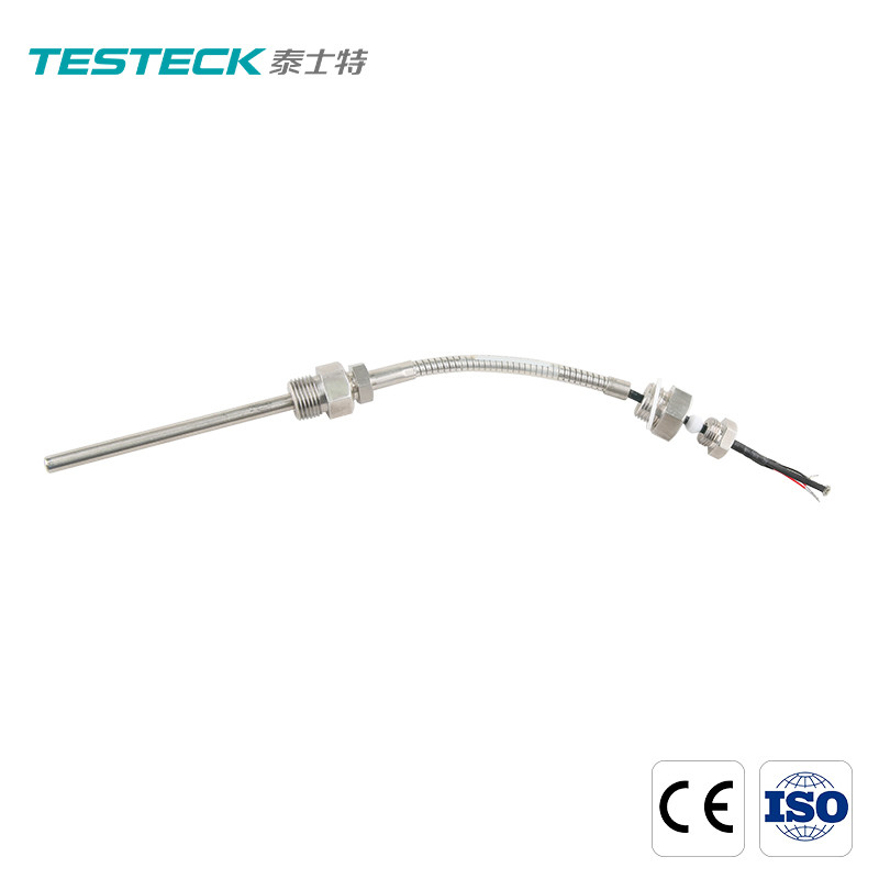 Oil Leakage Proof PT100 3 Wire Rtd Temperature Sensor With Sealing Wire
